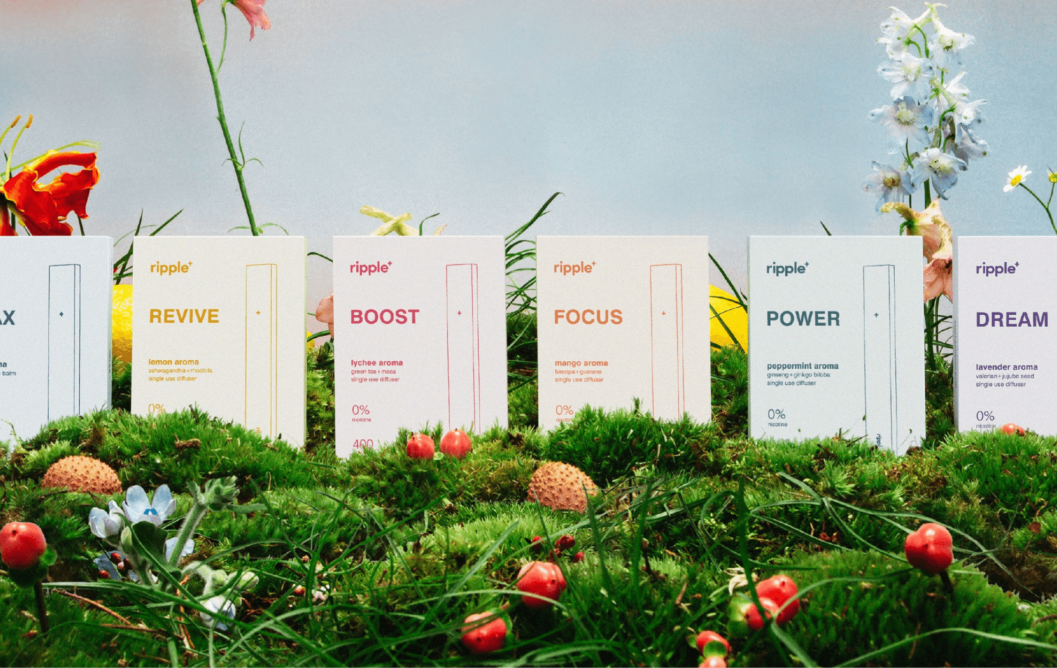 Customer Story: Sam & Lucie from Ripple | Storetasker Blog