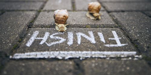 The New Intermediate Track – Practical Points to Consider for Experts