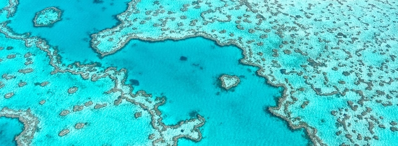 Airlie Beach Community Markets | Whitsundays