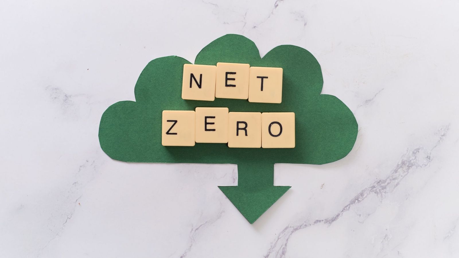 Net Zero Certification: A Detailed Guide for UK Businesses
