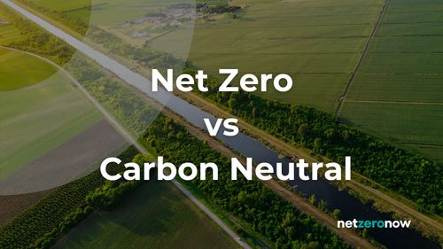 Net Zero vs. Carbon Neutral: What’s the Difference and Why It Matters