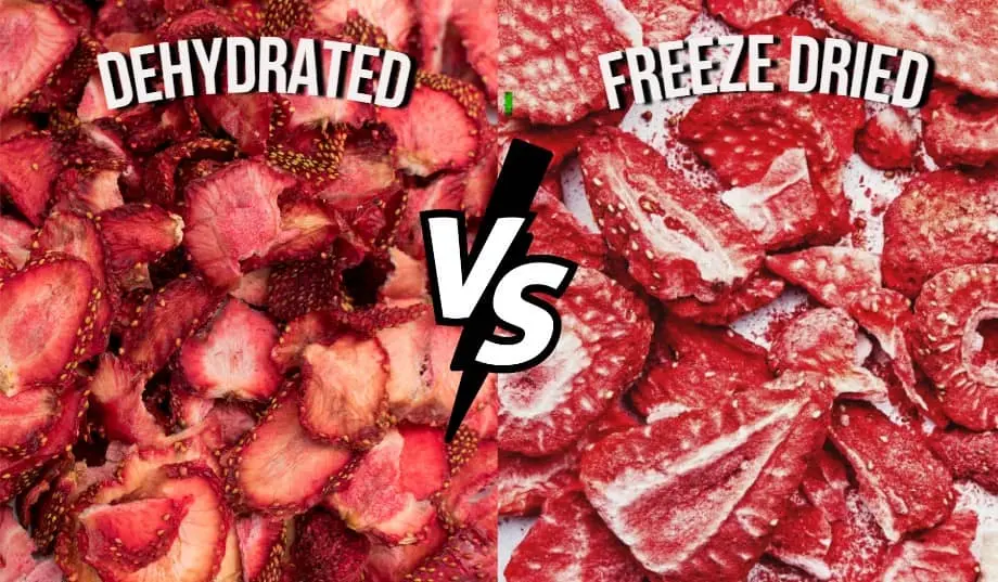 Freeze Drying VS. Dehydration | Dehydrators Blog