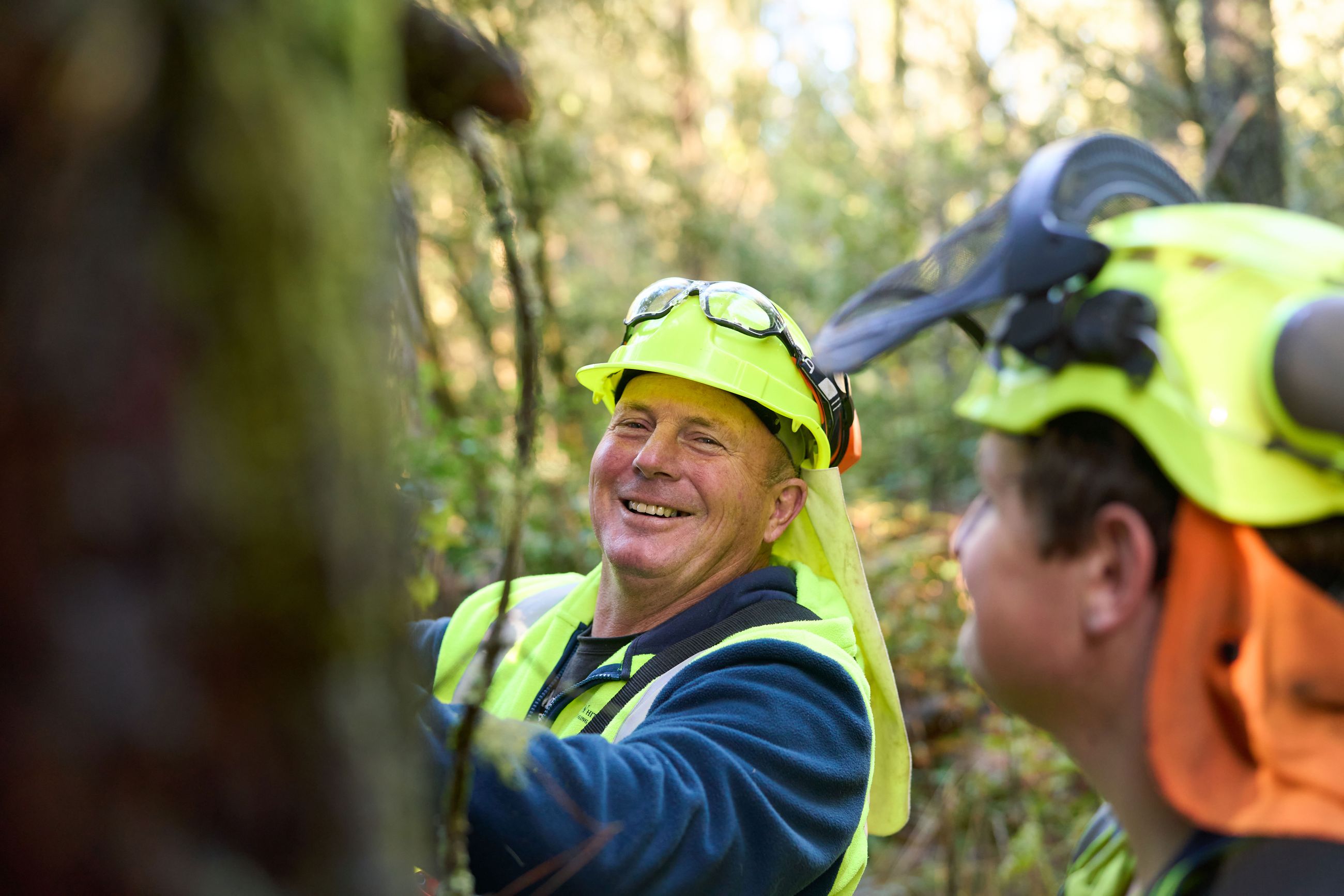 Competenz NZ | Skills Development | Train your workforce