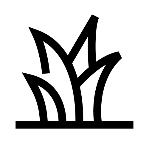 Bilastine (Blexten) Review: Benefits, Precautions, Side Effects | Curex