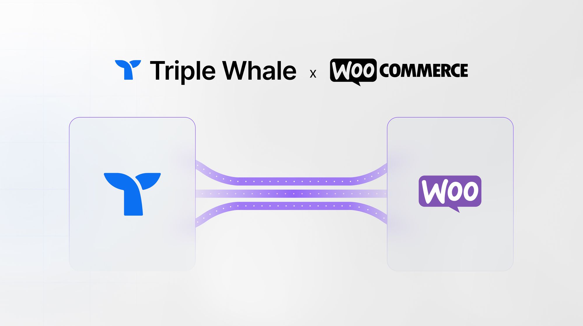 Triple Whale Pricing