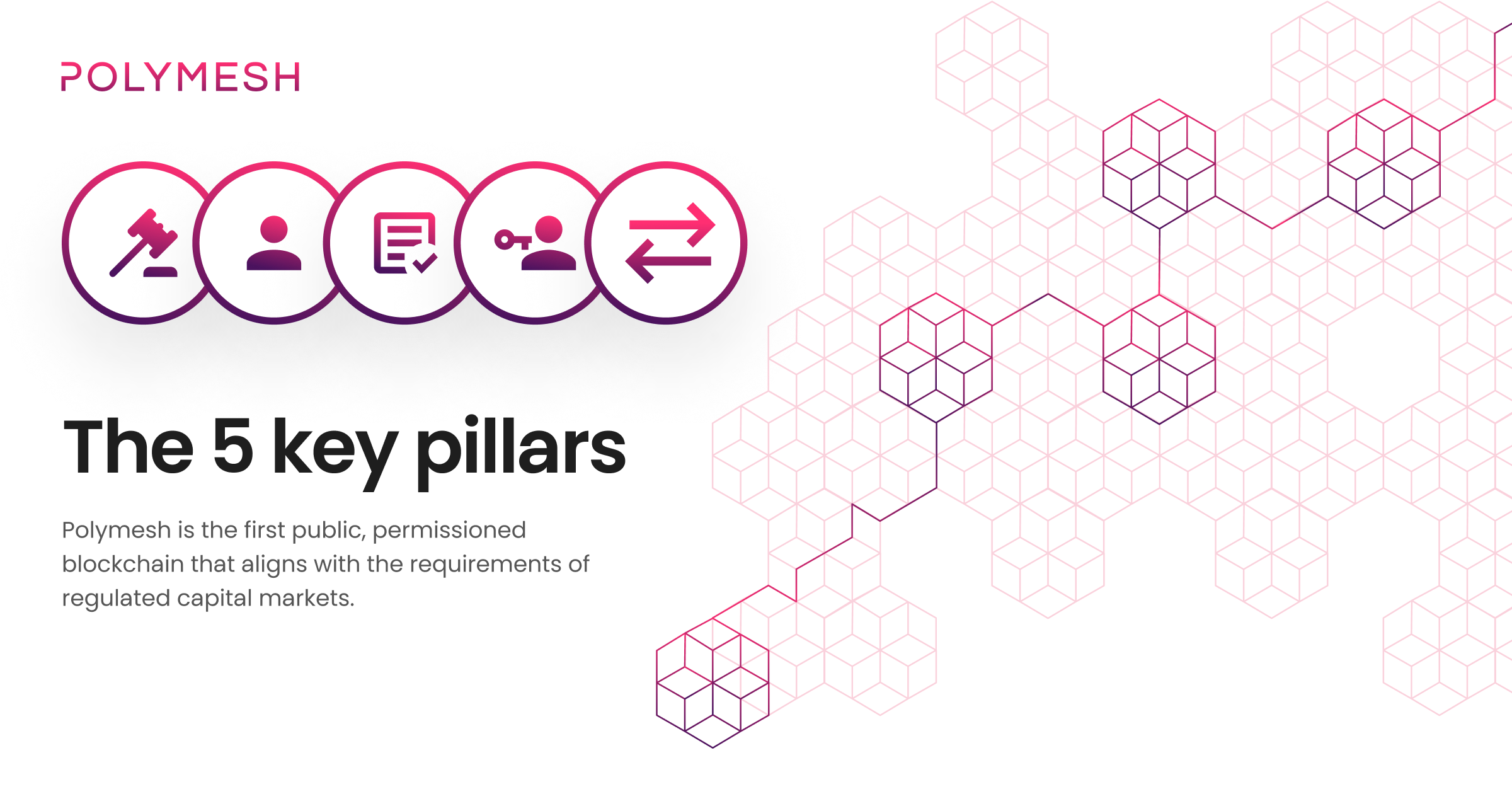 5 Key pillars | Polymesh