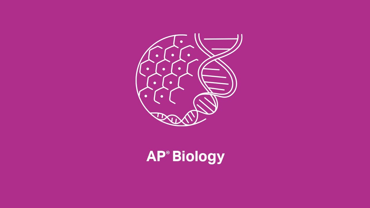 Preparing for the AP Biology Exam: Study Guide and Tips from AP Guru
