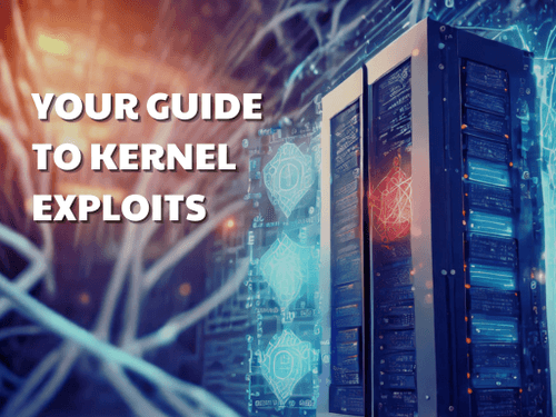 The Cybersecurity Professional's Guide to Kernel Exploits