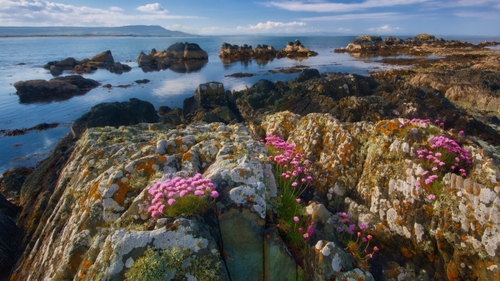 Colman Texas: Your Complete Guide to History & Attractions