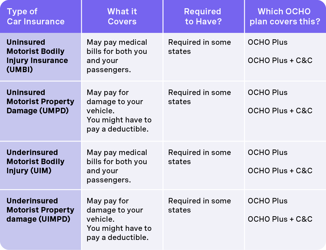 Your Ultimate Guide To Car Insurance Coverage Blog OCHO Insured Your Ultimate Guide To Car Insurance Coverage Blog OCHO Insured