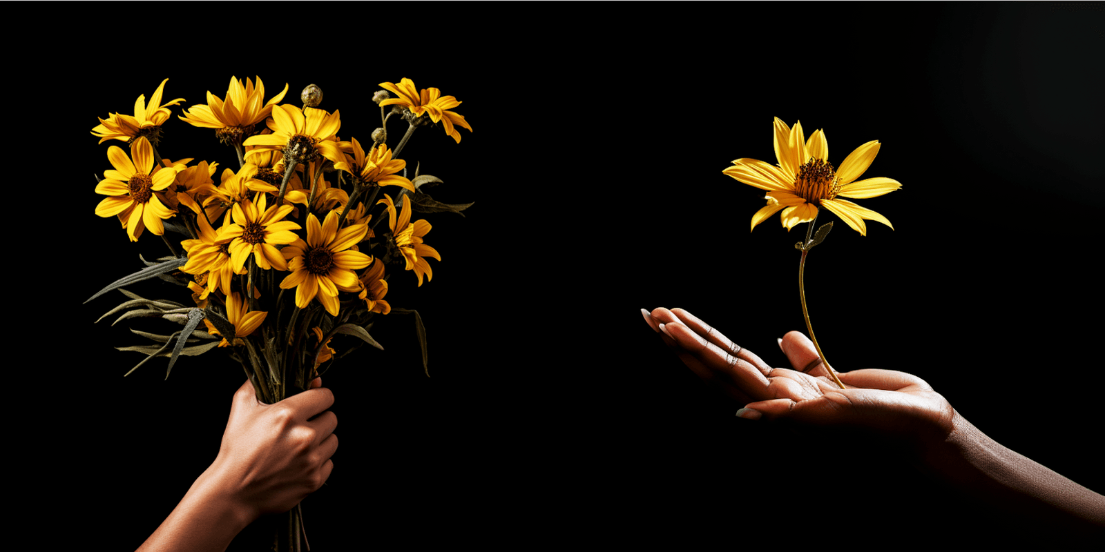 Managing Azure DevOps Access Levels & Permissions