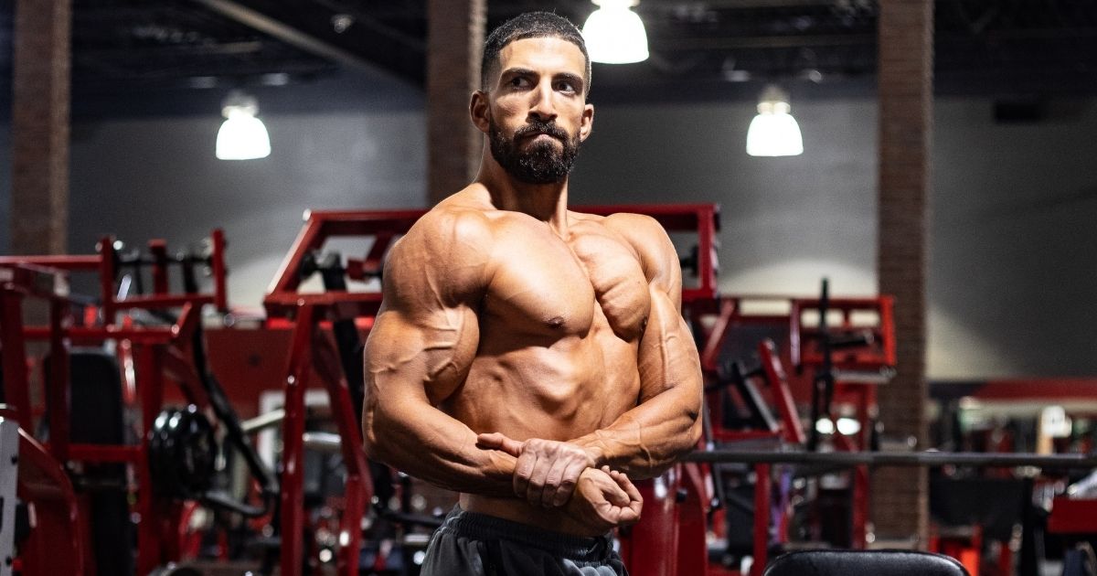 About - School of Gainz