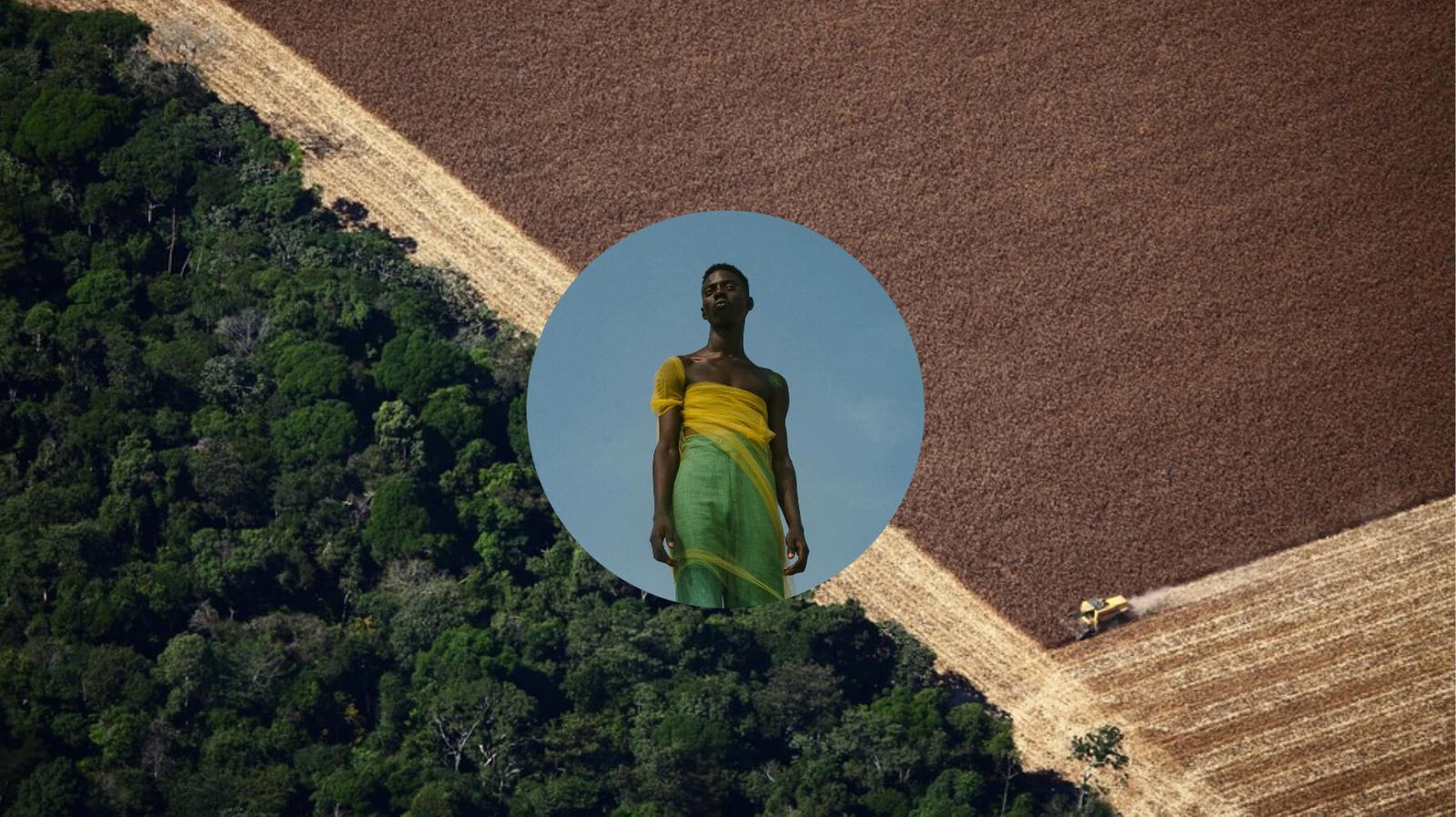 What Is Queer Ecology? | Queer Ecology, Explained.