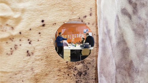 What Is Queer Ecology? | Queer Ecology, Explained.