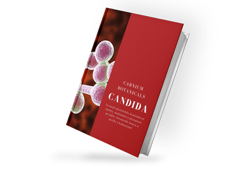 Candida