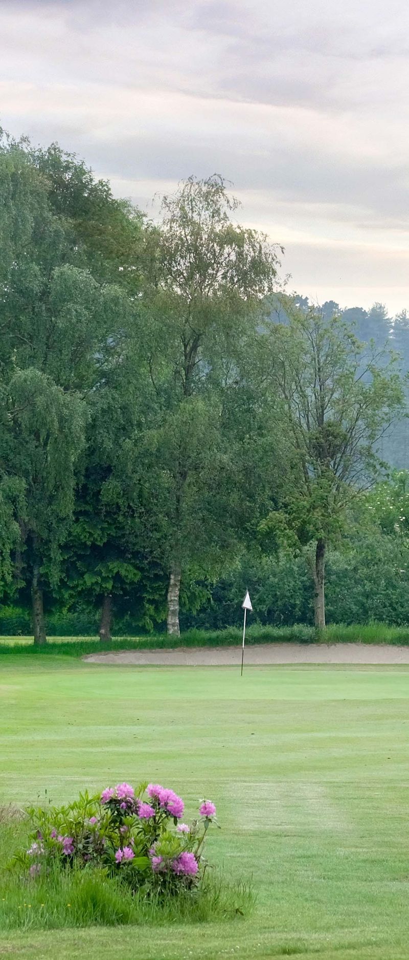 Bulbury Woods Golf Club - Poole