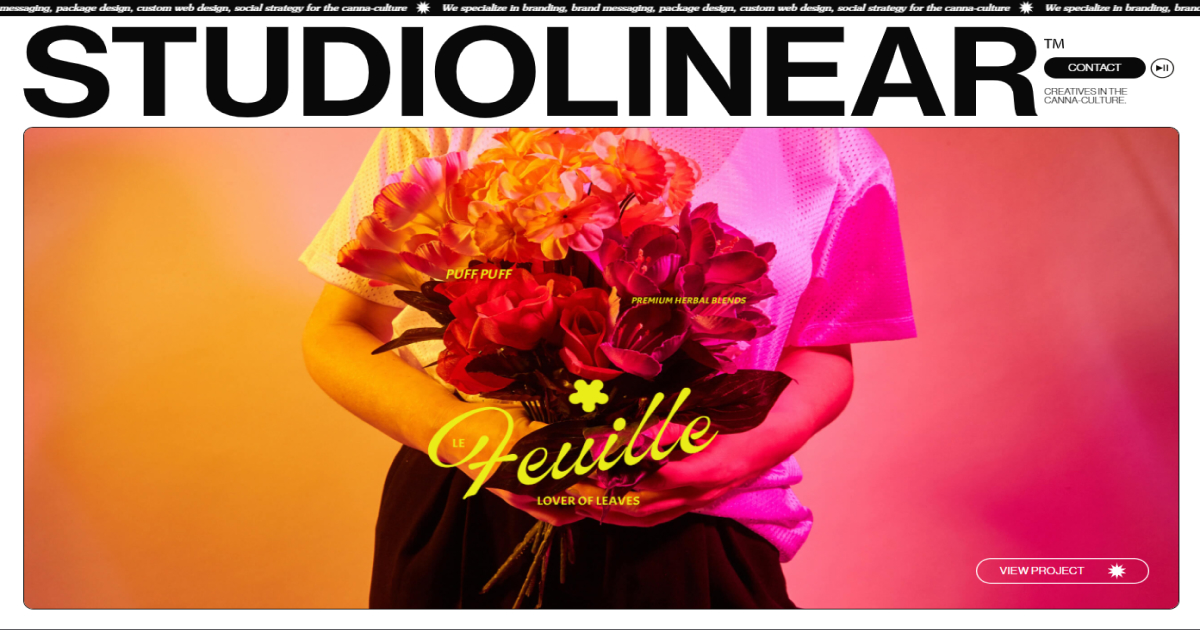 Creatives in the Consciousness-Expanding Culture | Studio Linear