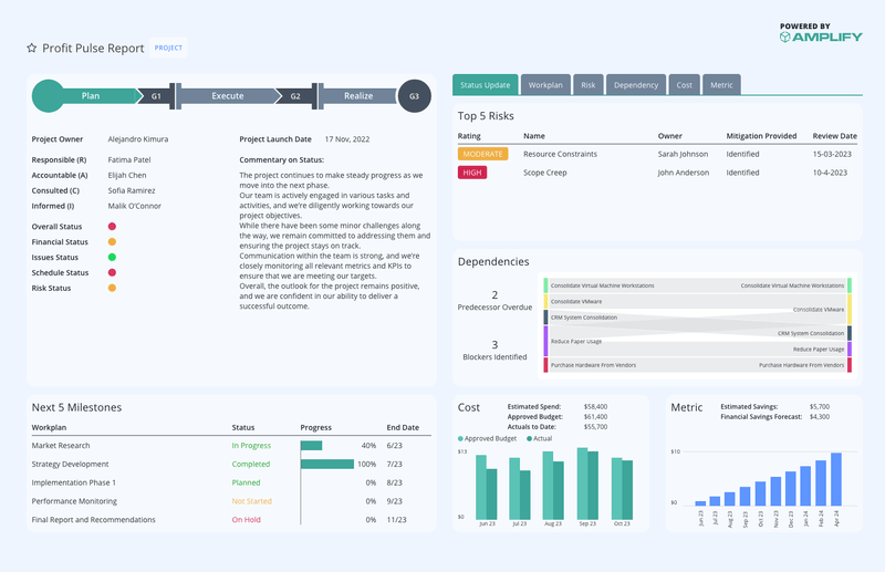 Strategy Execution Software for Business Transformation | Amplify