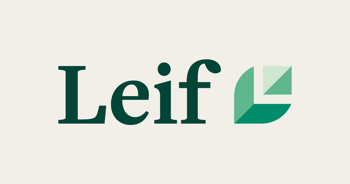 Leif – The Education Finance Platform