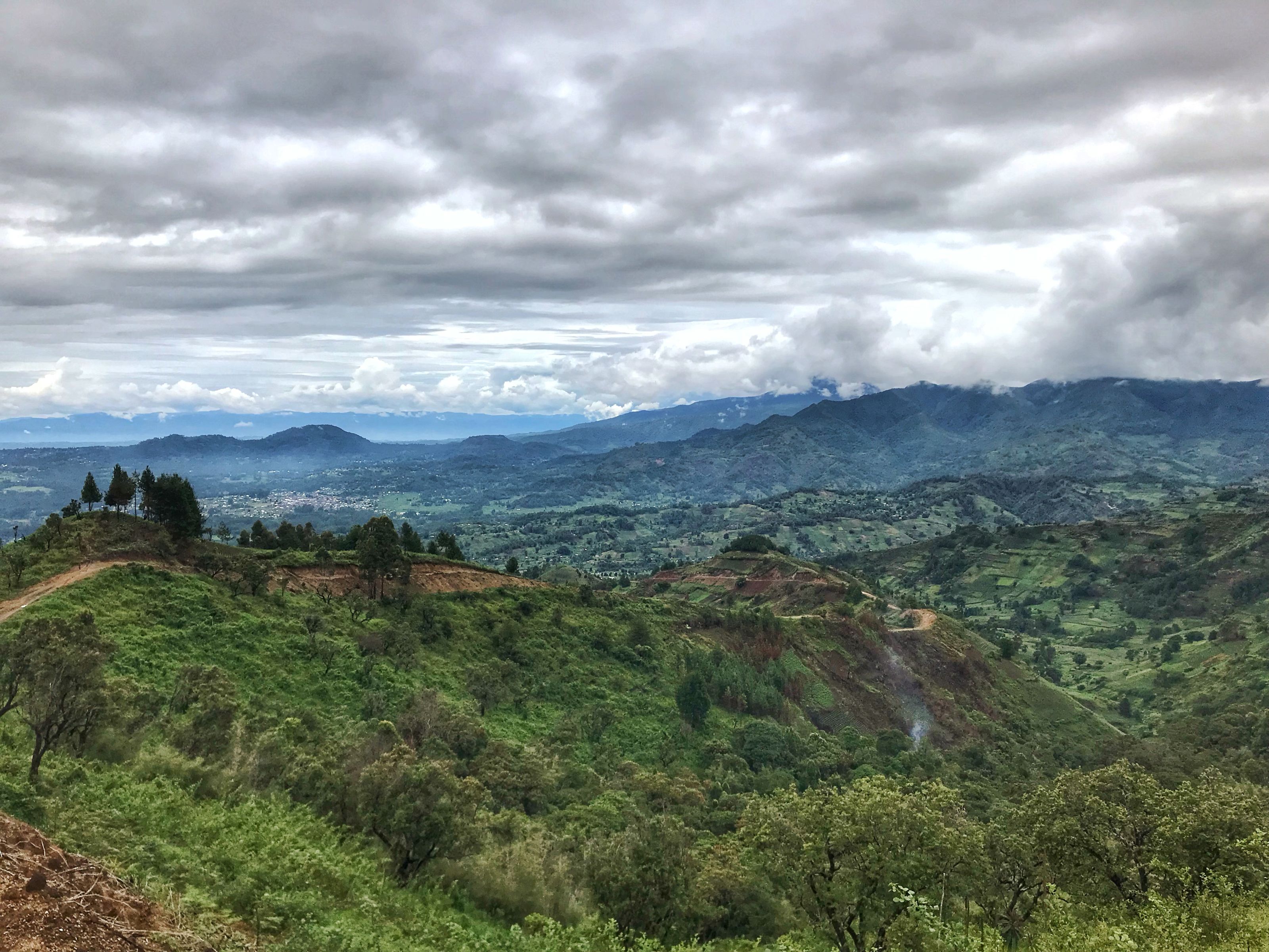 Tanzania | Rikolto