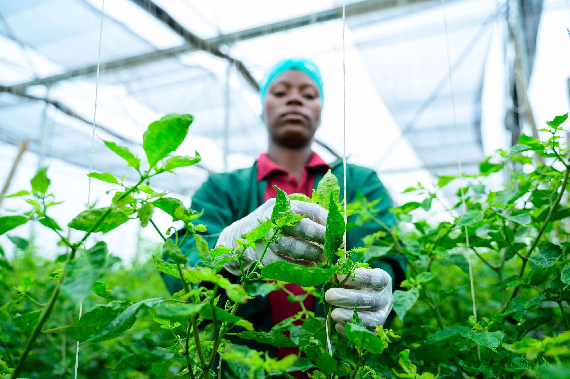 LATC | The business of impact - Home