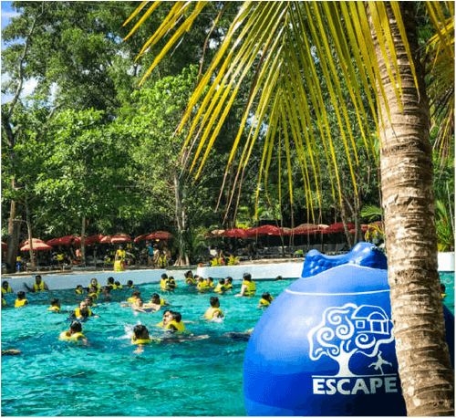 Activities | ESCAPE Penang