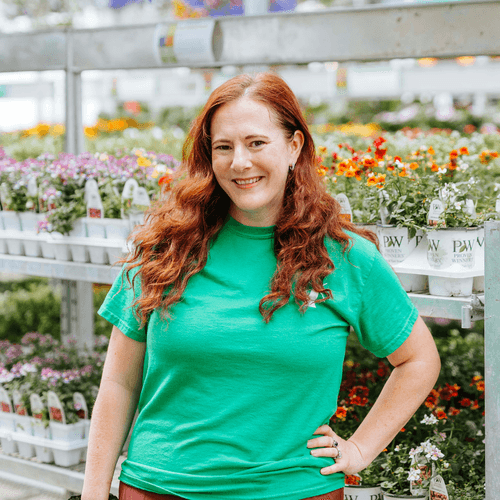 Native Plants of Saskatchewan