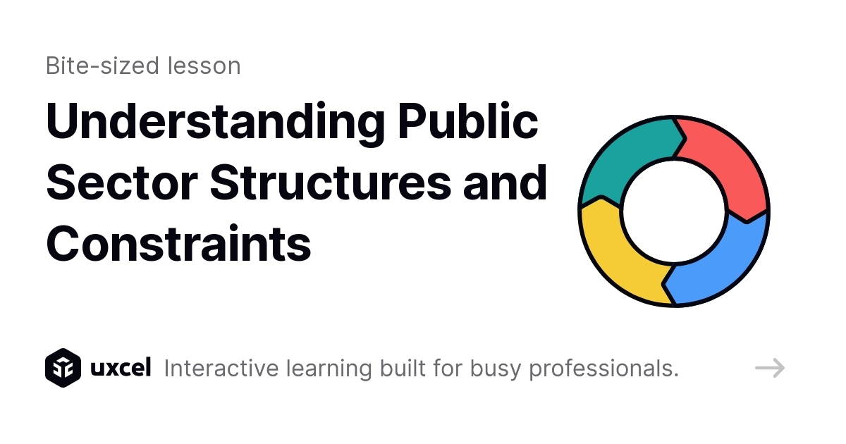 Understanding Public Sector Structures and Constraints | Uxcel Lesson