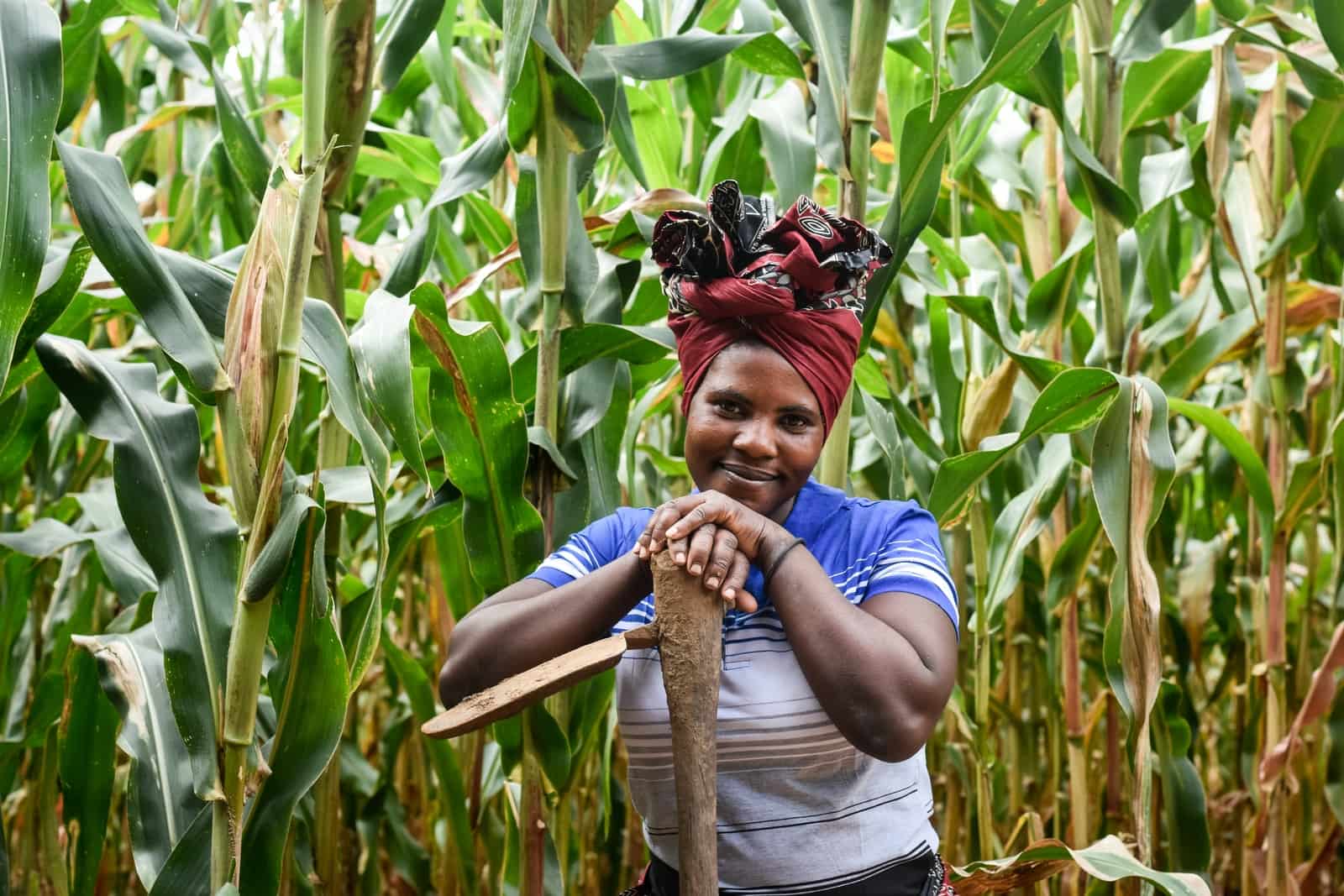 About | The Audacious Project