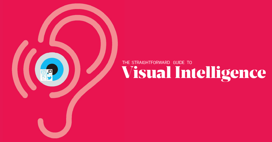 The Straightforward Guide to Visual Intelligence