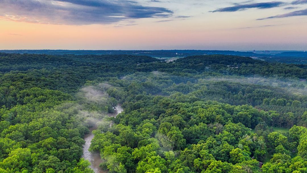 Trusty | EUDR, via libera del Parlamento al rinvio e alle ...