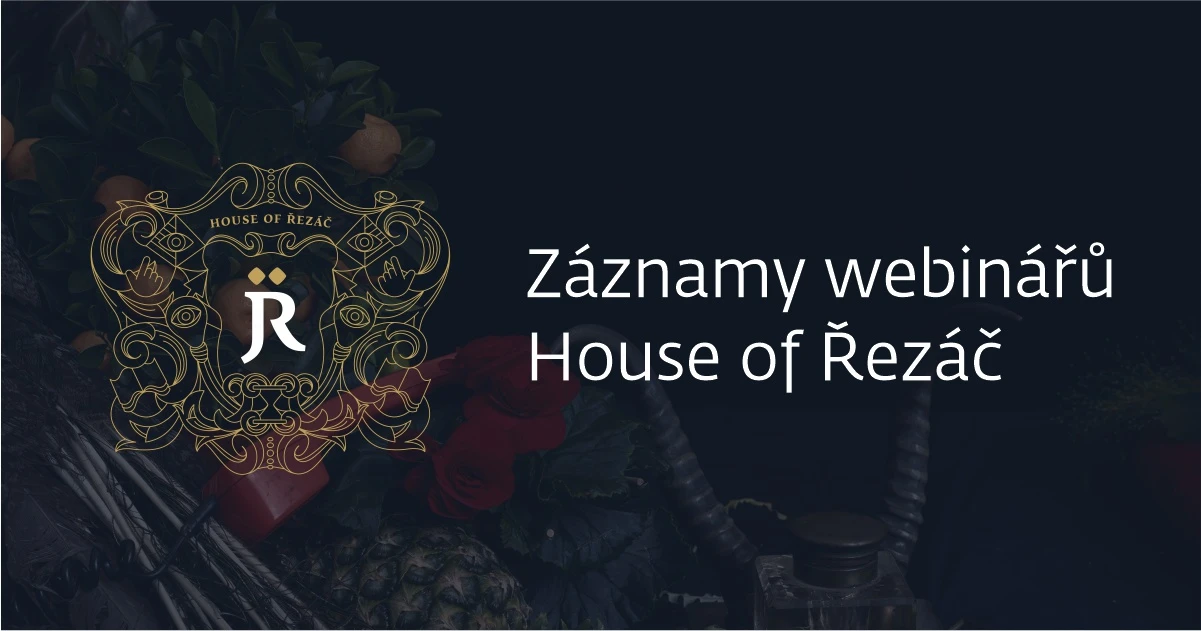 Záznam webináře: AI není ChatGPT