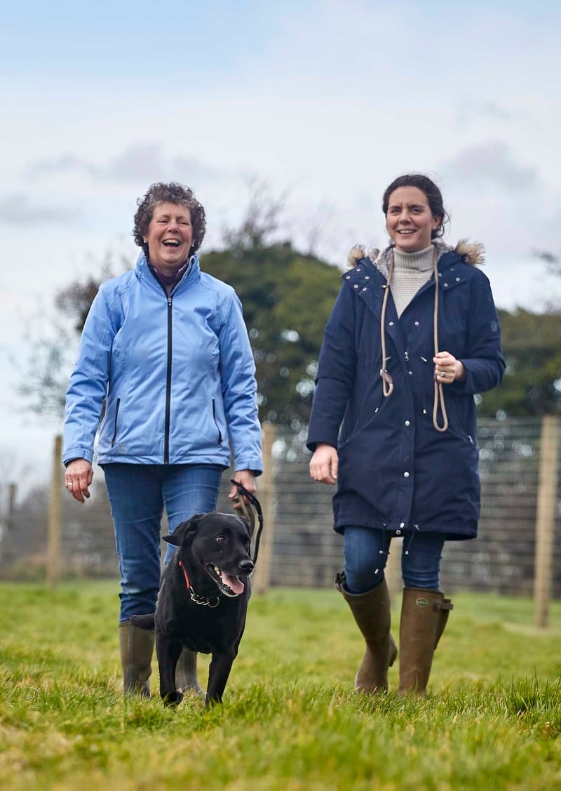 Secure Dog Field To Hire | Norfolk | Martham Paw Ground