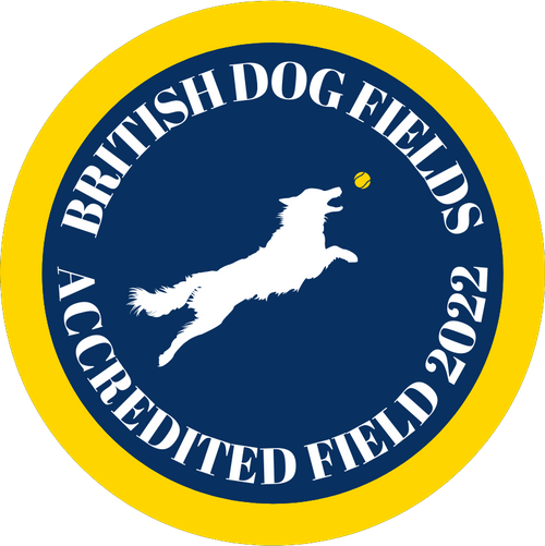 Secure Dog Field To Hire | Norfolk | Martham Paw Ground