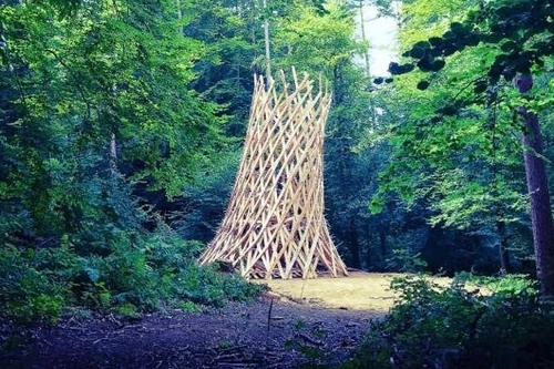 Xylotek's Timber Projects – Innovative Timber Portfolio