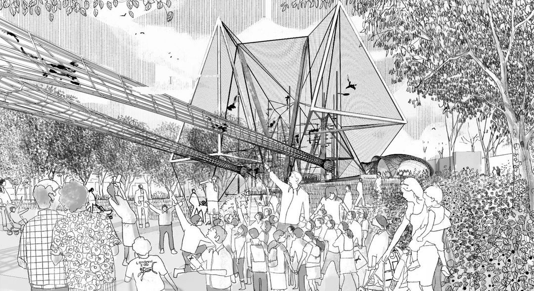 Xylotek's Timber Projects – Innovative Timber Portfolio