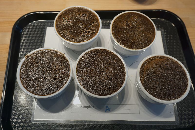 Coffee Quality Institute provides coffee education throughout the ...