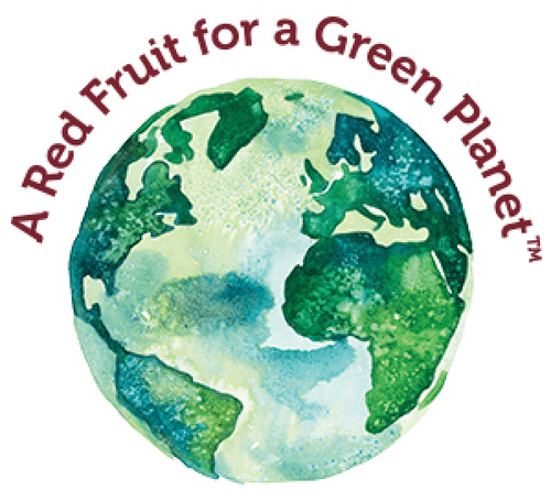 Coffeeberry Energy | Whole Coffee Fruit Caffeine Extract | FutureCeuticals