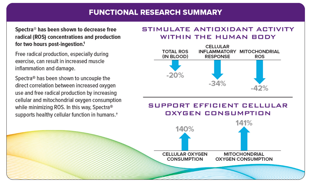 Spectra | Clinically Researched Antioxidant Action | FutureCeuticals