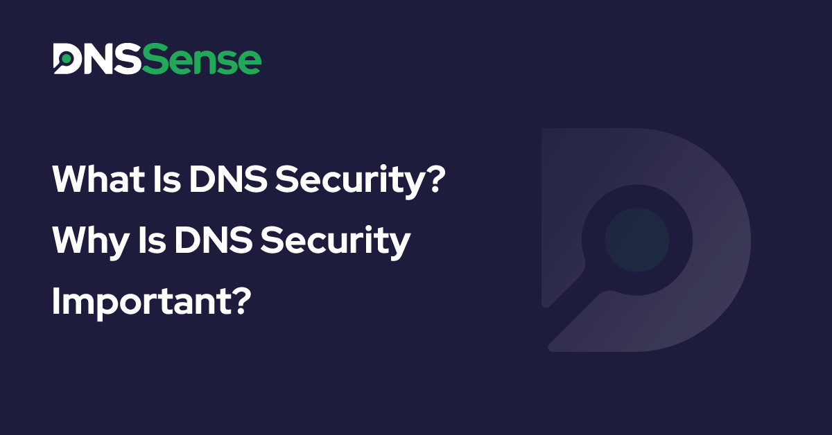 What is DNS Security? Why is DNS Security important? | DNSSense