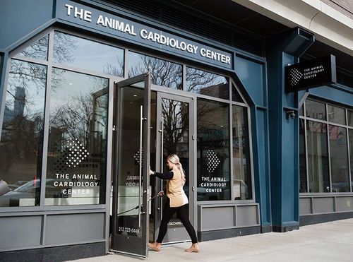 The Animal Cardiology Center (TACC) | New York Veterinary Cardiologist ...