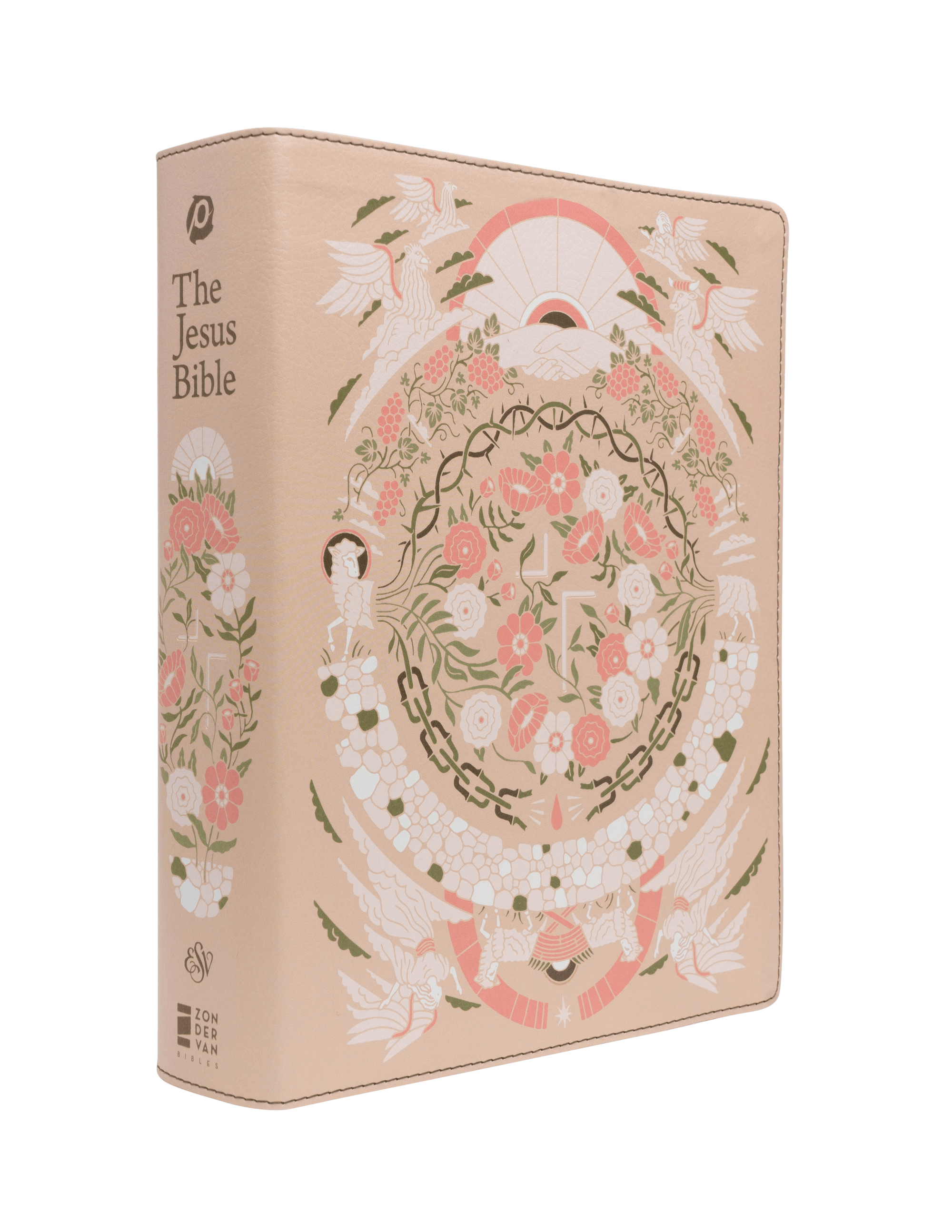 Bibles - The Jesus Bible