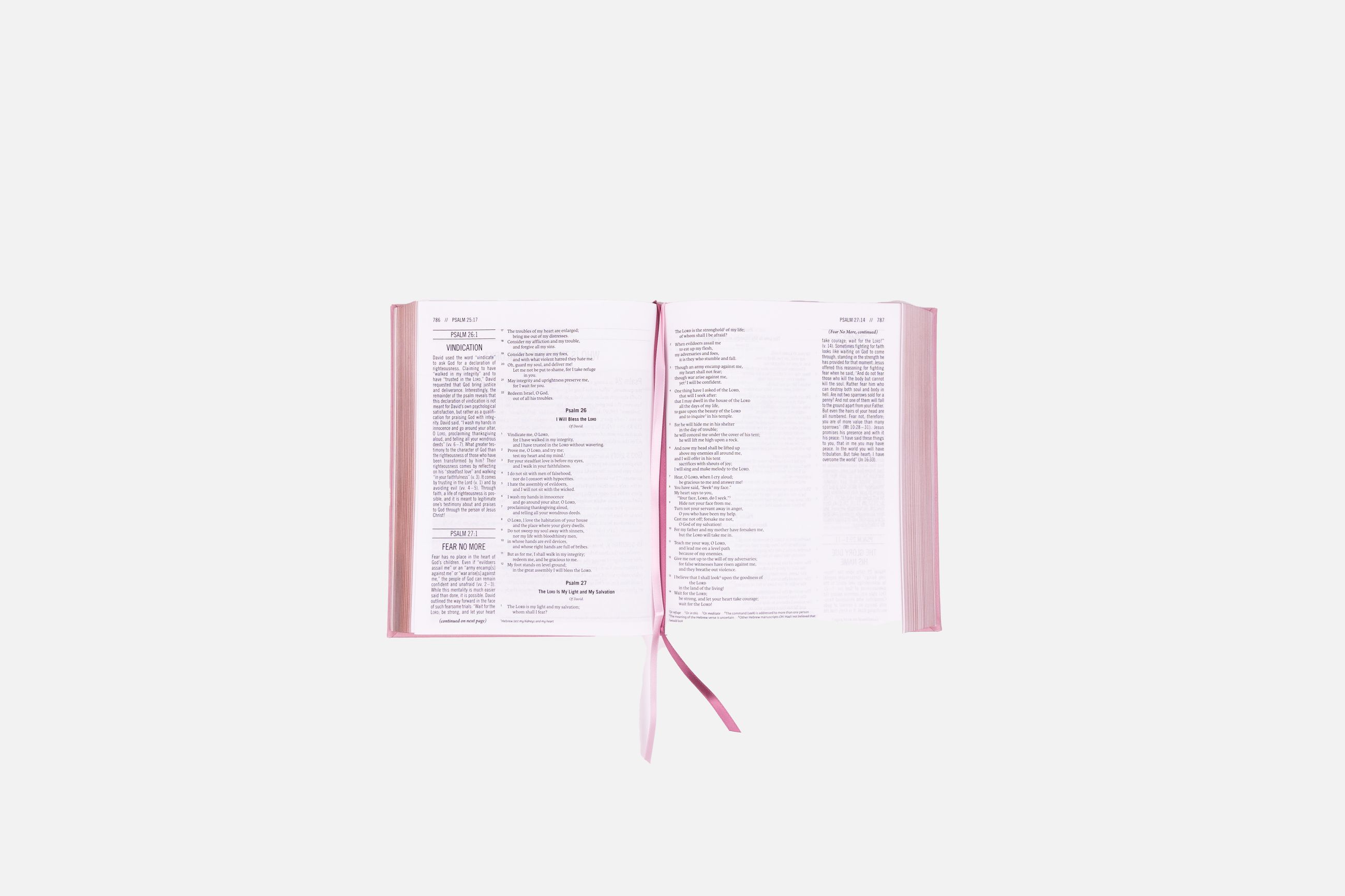 Bibles - The Jesus Bible