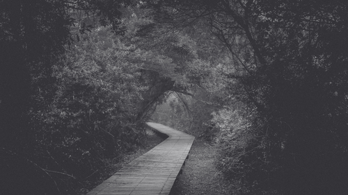 How The SIBAM Model Can Help You Overcome Trauma
