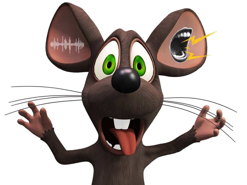 Funny Cartoon Scream Free Sound Effect