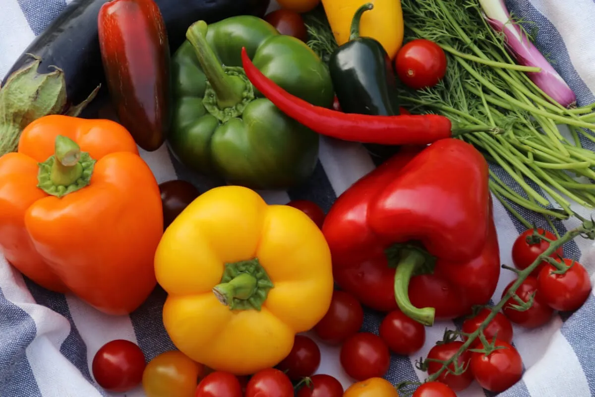 Solanina: cos'è, dove si trova e quali sono i rischi | Buddyfit