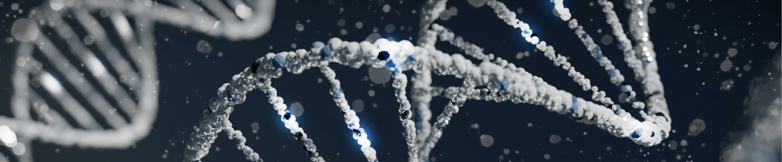 Bioethics: Core Concepts | CBHD Site Topic Issues