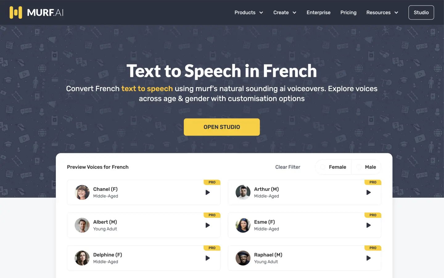Free Text to Speech French & AI Voice Generator Online