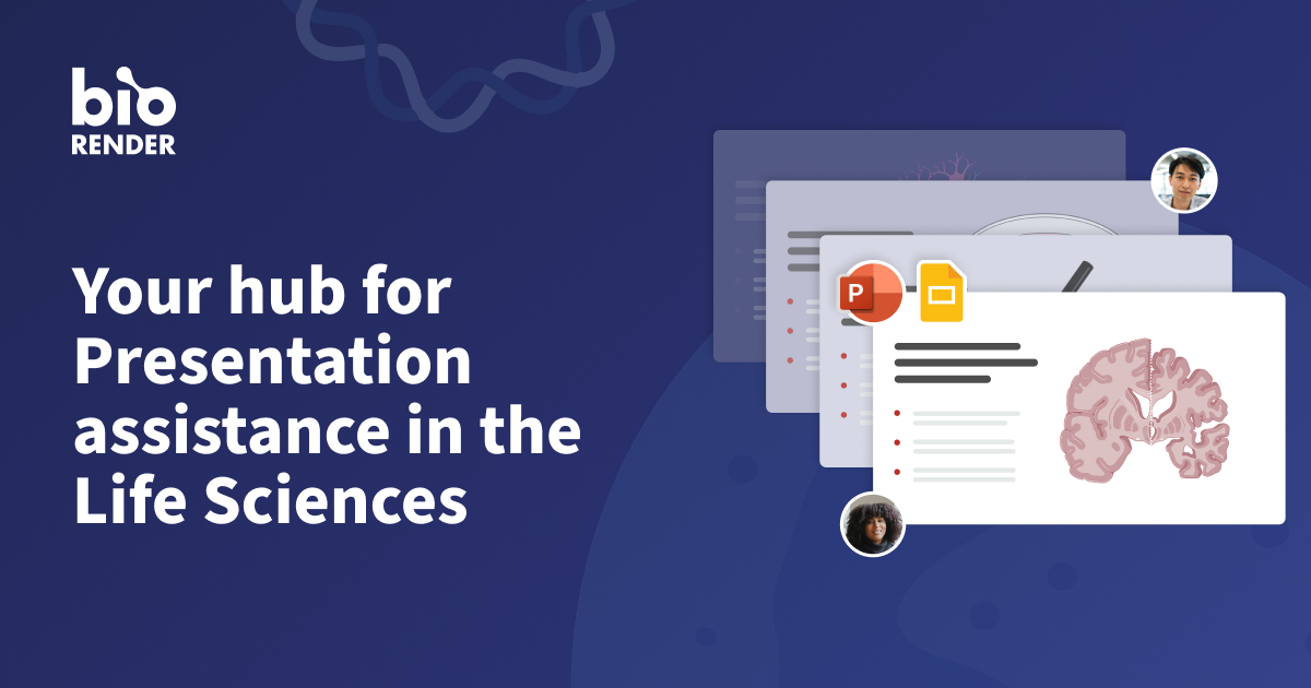 Scientific Presentation Templates Library | BioRender