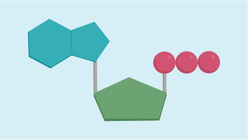 Free Chemistry Icons, Symbols & Images | BioRender